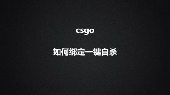 #csgo一键自杀指令 bind "end" "kill" end改成你想设的键