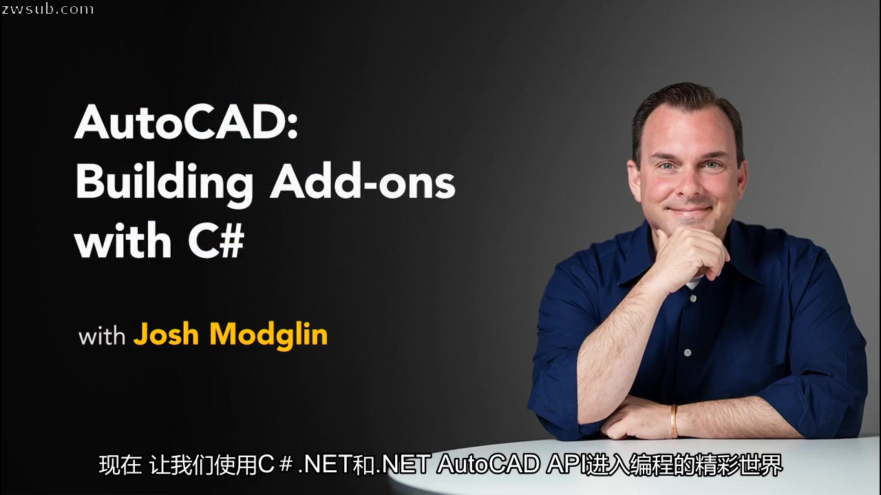 Lynda中文字幕 AutoCAD:使用C#构建加载项 AutoCAD: Building Add-...