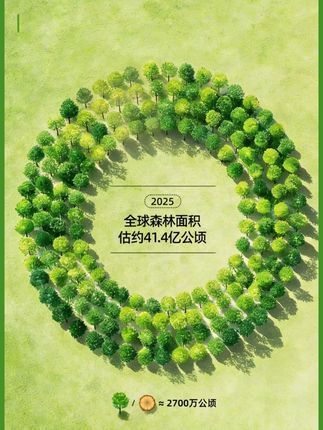 我国人均拥有100棵树!点赞绿色奇迹ߌ