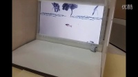上海视觉艺术学院2013级数字媒体技术专业多媒体影像交互设计课程...