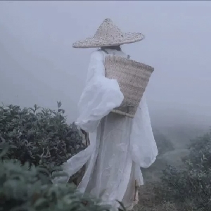 KTYL蒋大爷 