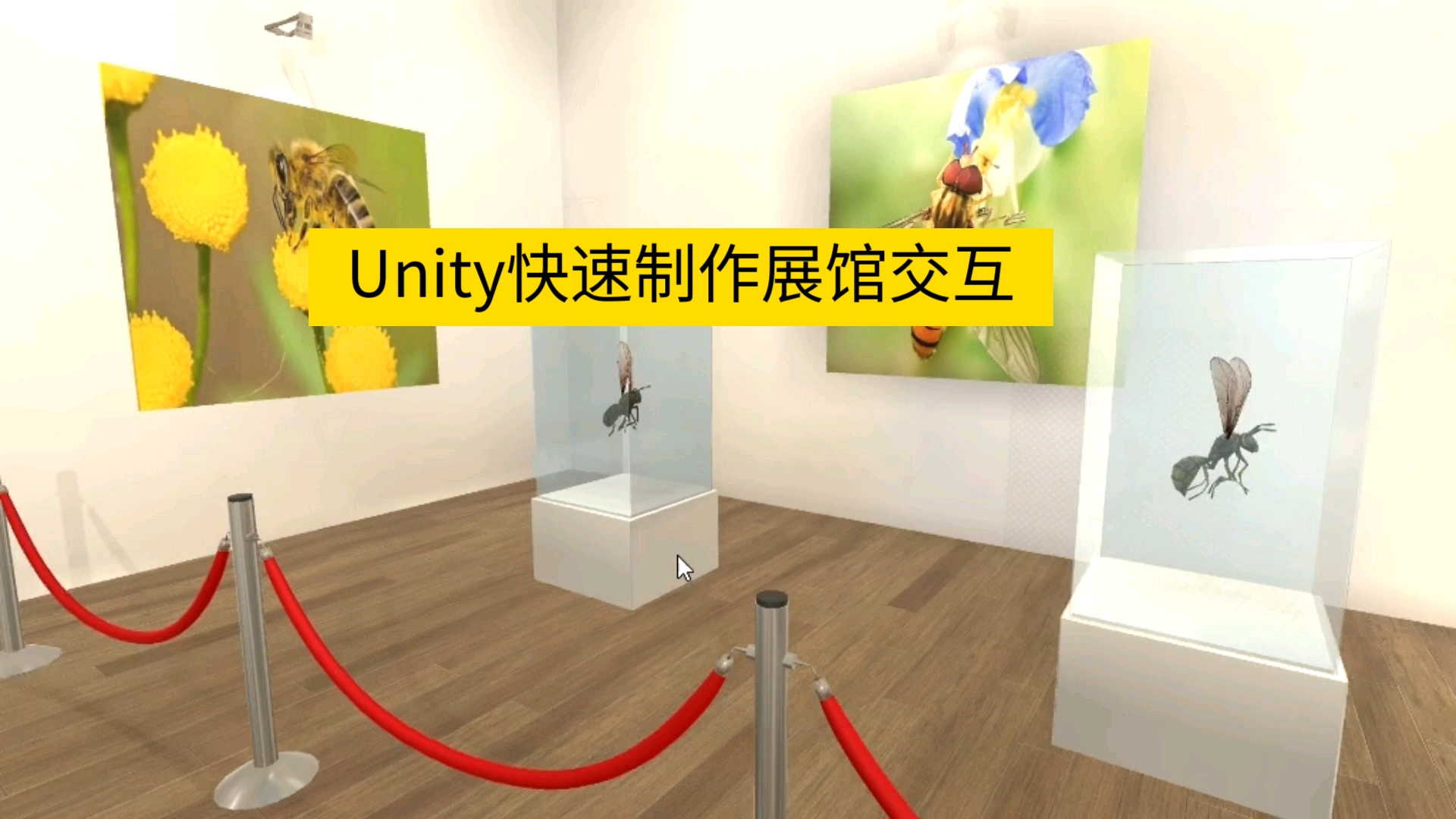 Unity制作昆虫文化馆