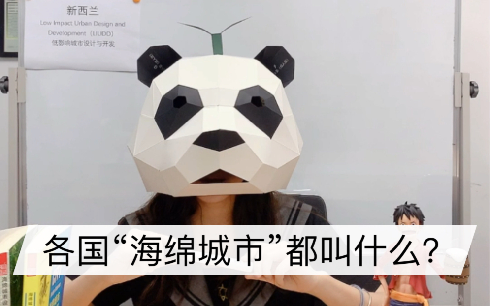 各国“海绵城市”叫什么?