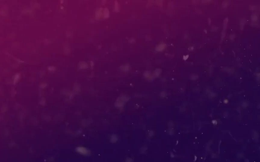 C4D插件-快速创建随机抽象样条曲线 Umami v1.22 激活版