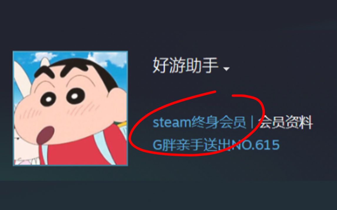 正版steam也有会员了!你确定不是管家?