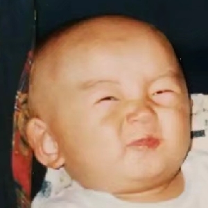 落木0 