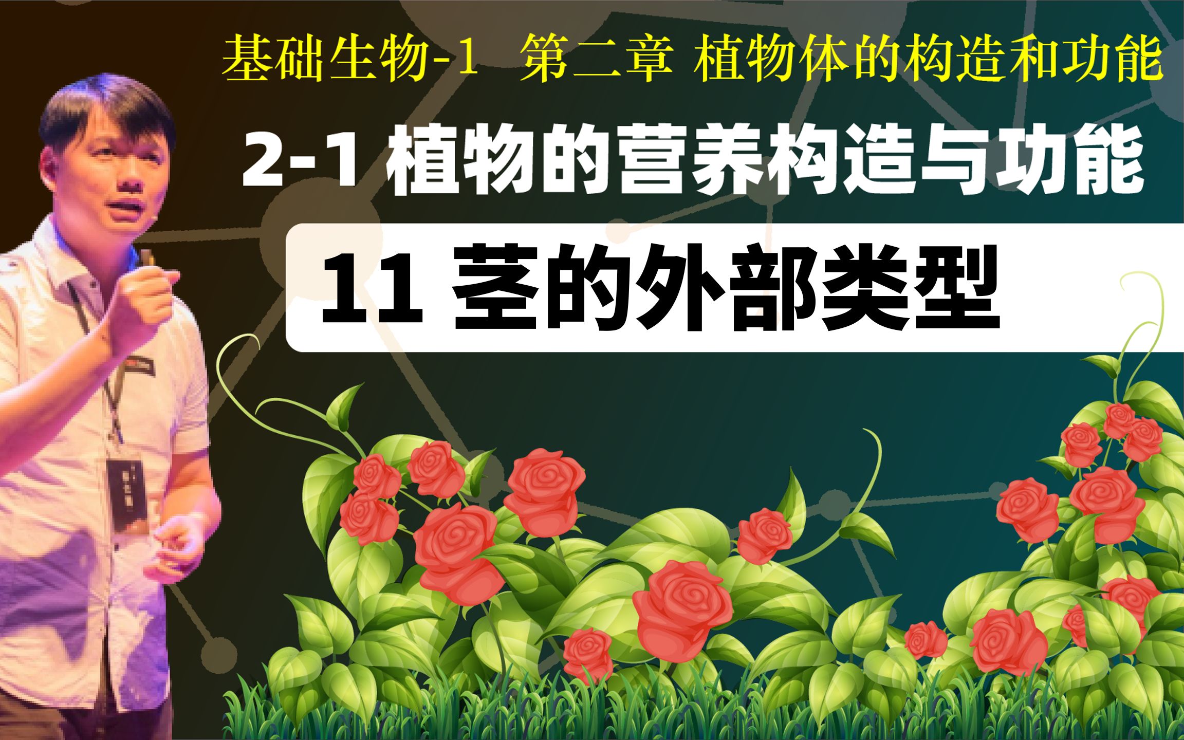 基础生物学 2-1.11 茎的外部形态