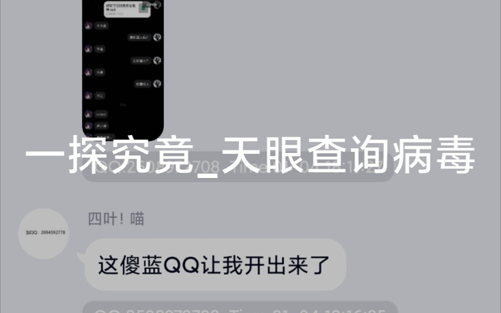 一探究竟_有人说天眼查询病毒聊天记录是伪造的