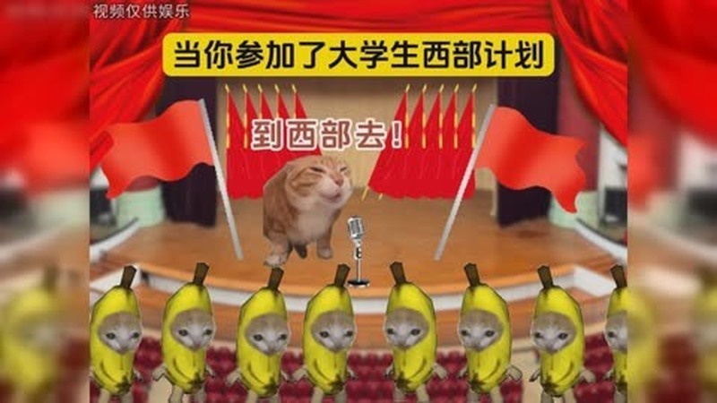 当你参加了大学生西部计划