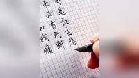同是红尘悲伤客,莫笑谁是可怜人,硬笔书法,人生哲理