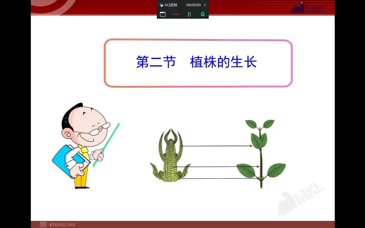 初中生物 植株的生长
