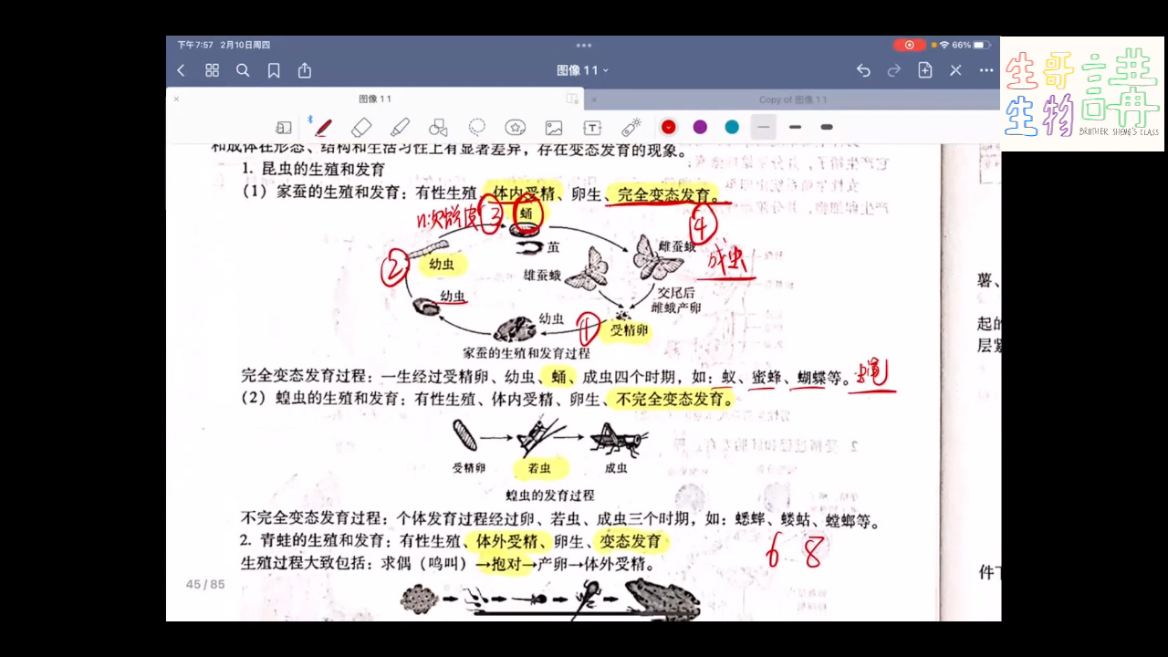 【生哥讲生物】中考知识补丁34 动物的生殖和发育