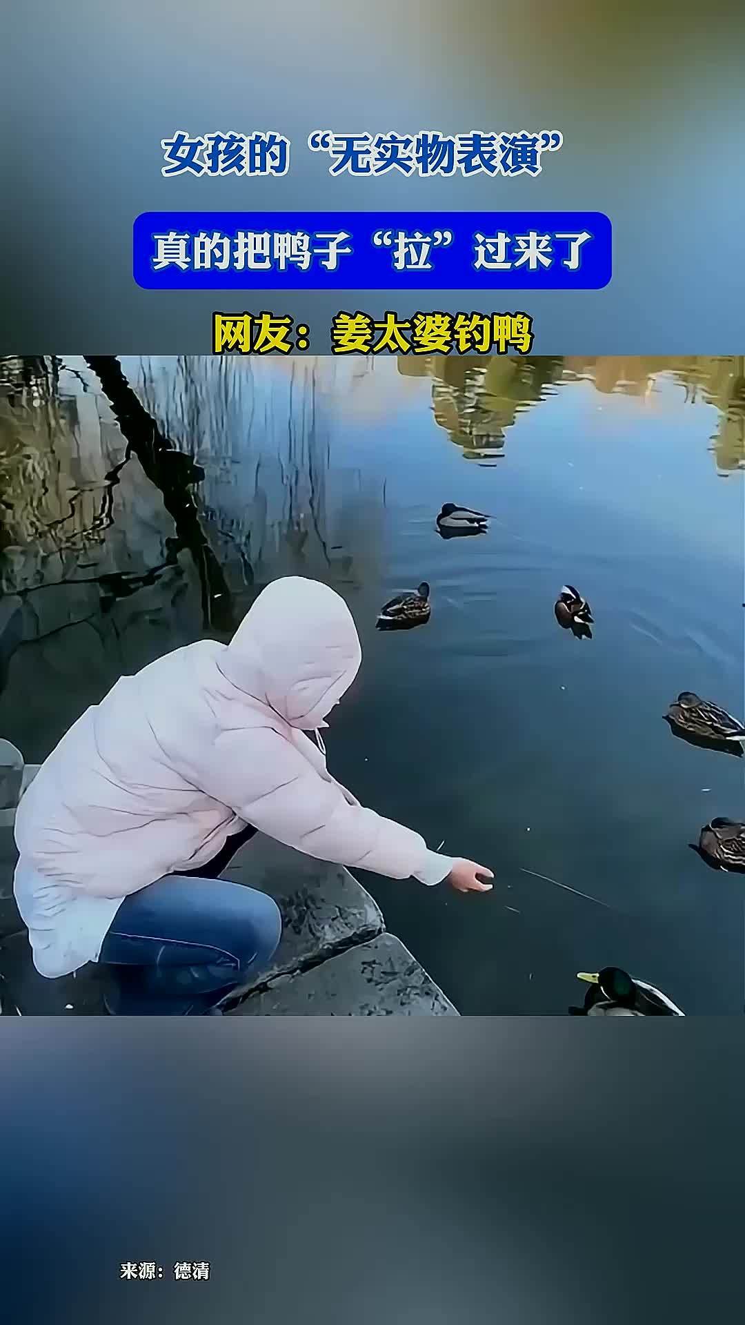 女孩的"无实物表演"真的把鸭子"拉"过来了