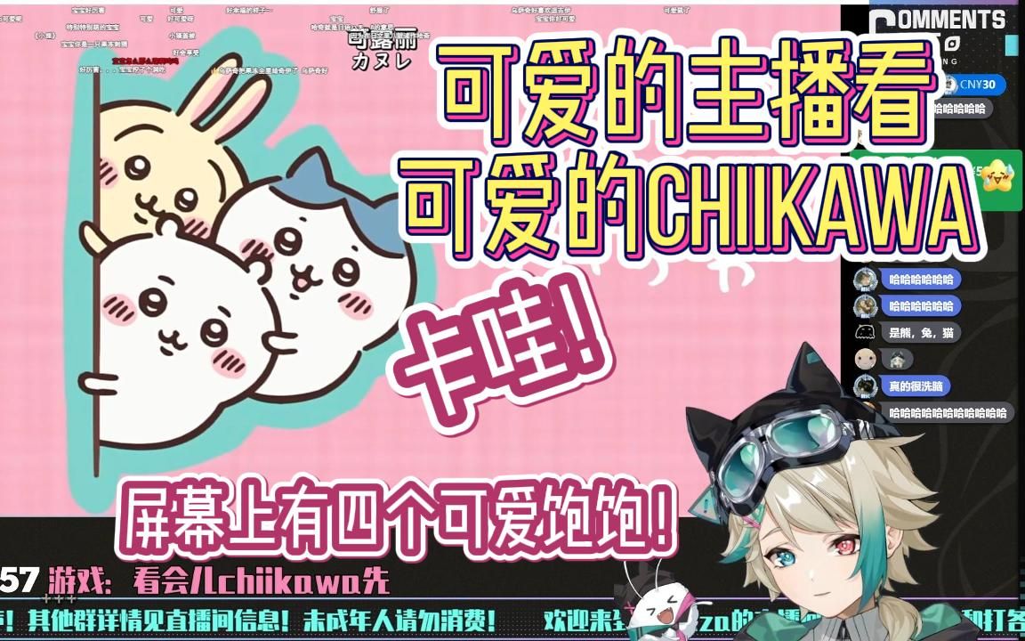 【阿萨aza】屏幕上怎么有四个可爱饱饱!可爱的主播看可爱的chiikawa!