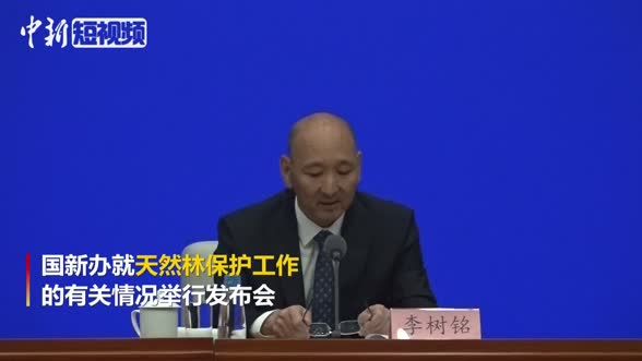 国家林业和草原局:全面停止天然林的商业性采伐