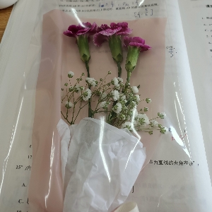 一品讲数学 