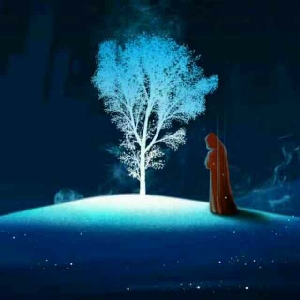 愿夜明 