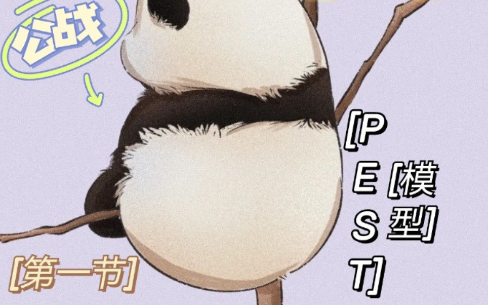公战第一节:PEST模型