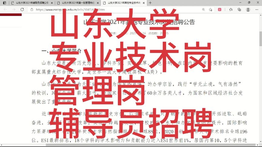 山东大学专业技术岗,管理岗,辅导员岗招聘,事业编制!