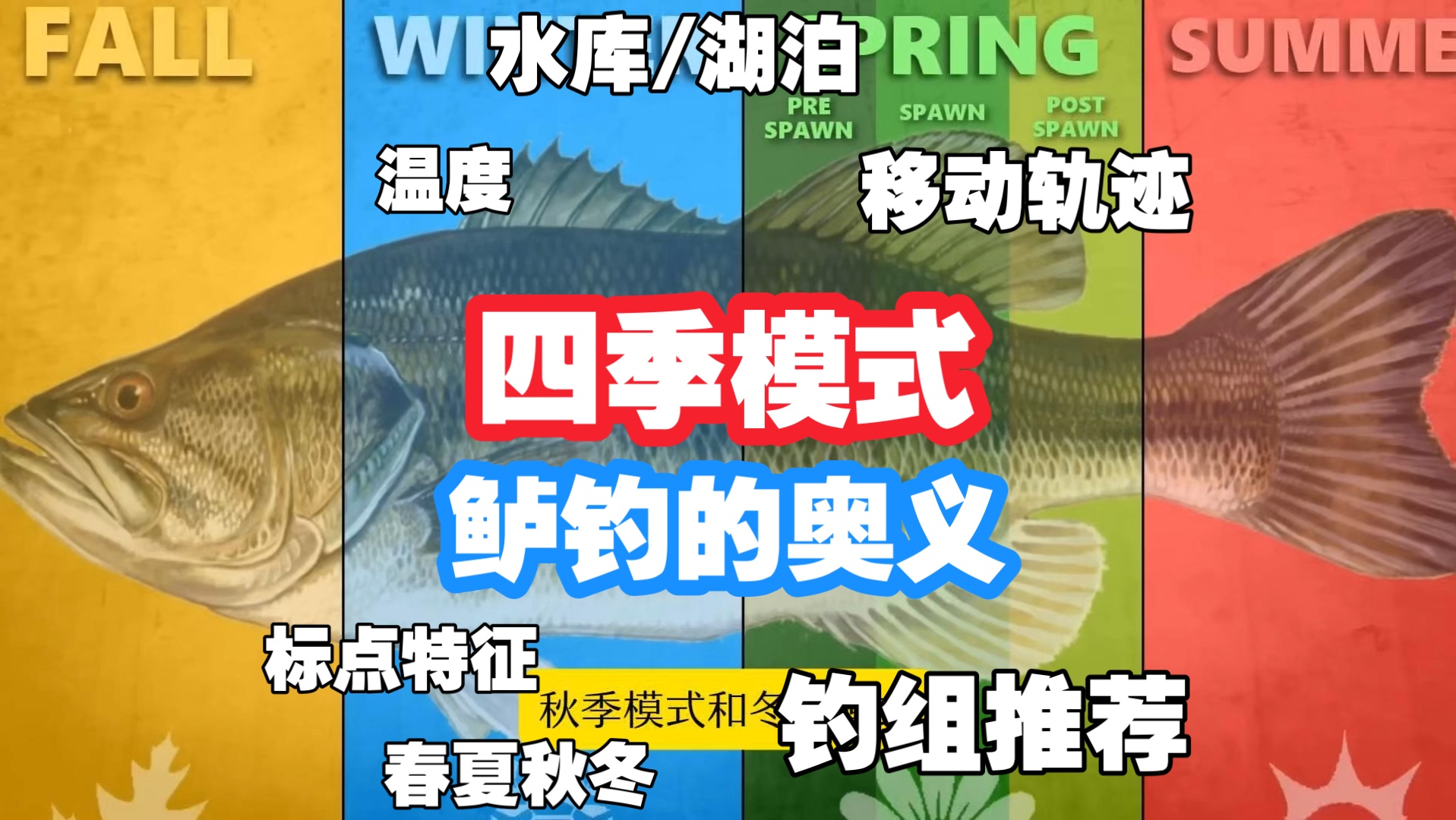 干货!鲈鱼的四季模式!