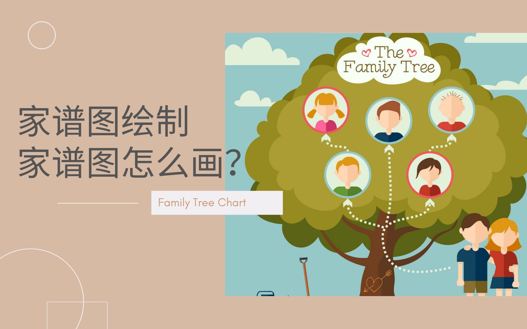 家谱图绘制 家谱图怎么画?