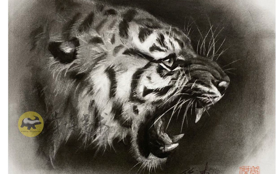 【动物素描】凶猛老虎绘画全过程,从起型到铺色!有原倍速视频哦!