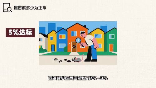 惊!你家老鼠密度超标了吗?正常标准揭秘