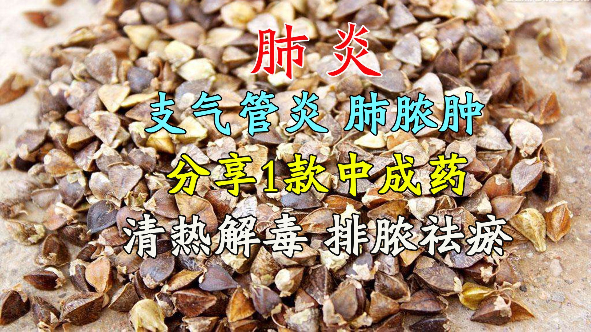 分享一款中草药,不仅清热解毒,还能排脓祛瘀,非常适合肺热患者