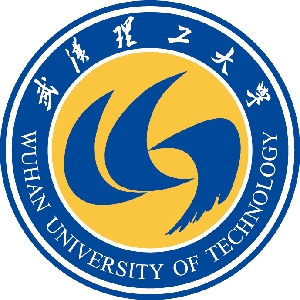 武汉理工大学团委 