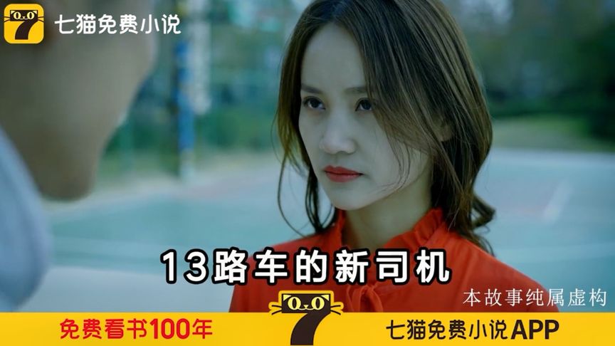 《13路末班车》