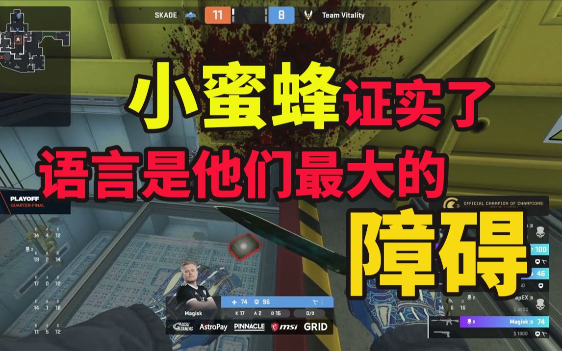 语言成了小蜜蜂最大的障碍 CS:GO