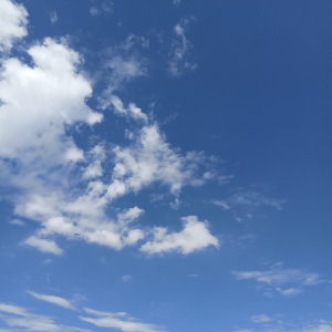 虎虎生威的淼淼老师 