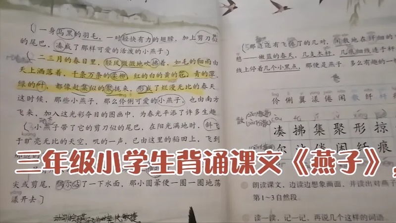 三年级小学生背诵语文课文《燕子》。小孩子背诵能力真的比大人强