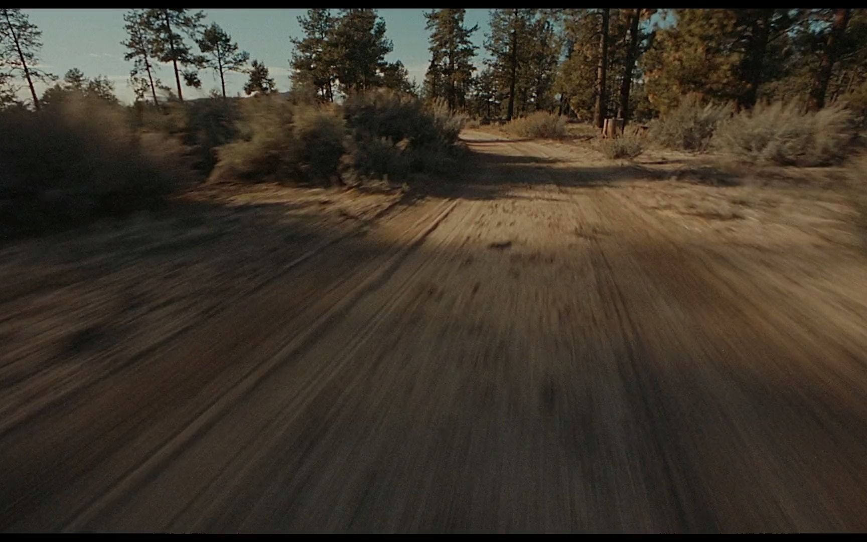 福特集团宣传片FORD 《野马》马的象征画面 诗意文案 野性十足的...