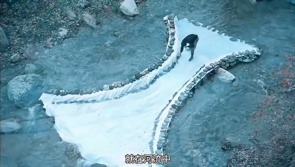 男人在河中搭建了一个"姨妈巾"陷阱,鱼儿竟能源源不断地游进来
