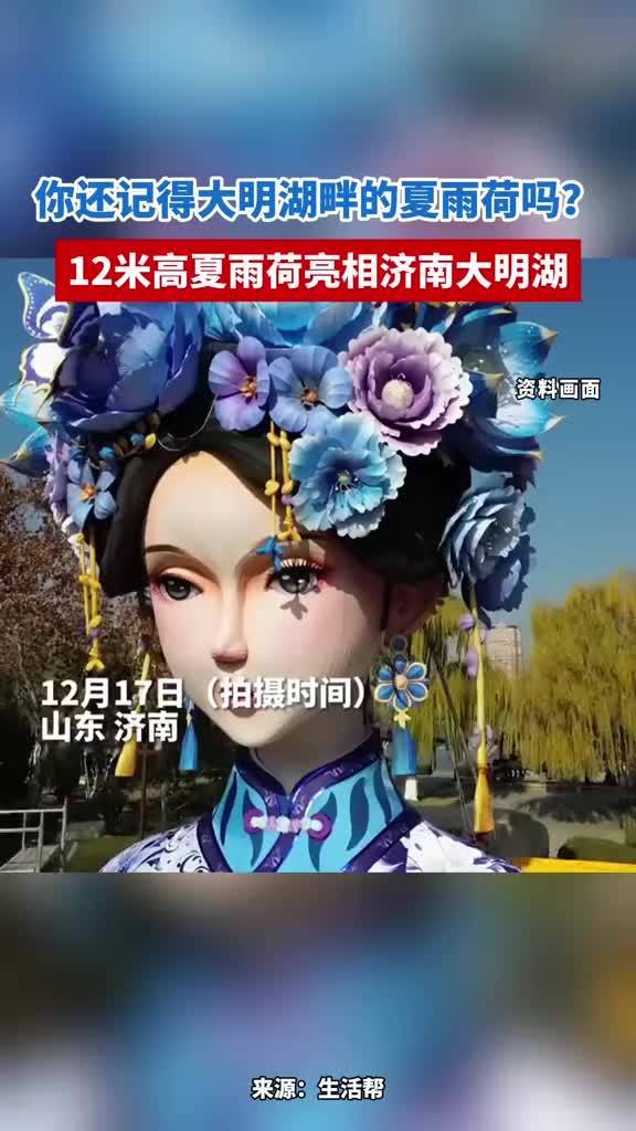 你还记得大明湖畔的夏雨荷吗,12米高夏雨荷亮相济南大明湖