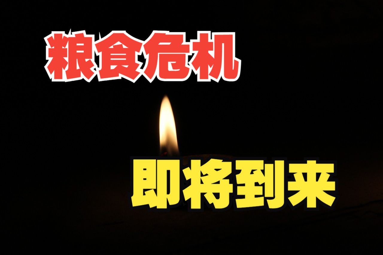 粮食危机席卷亚洲(粮食价格将在明年飙升)