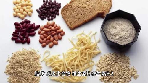 3261.白果的功效
