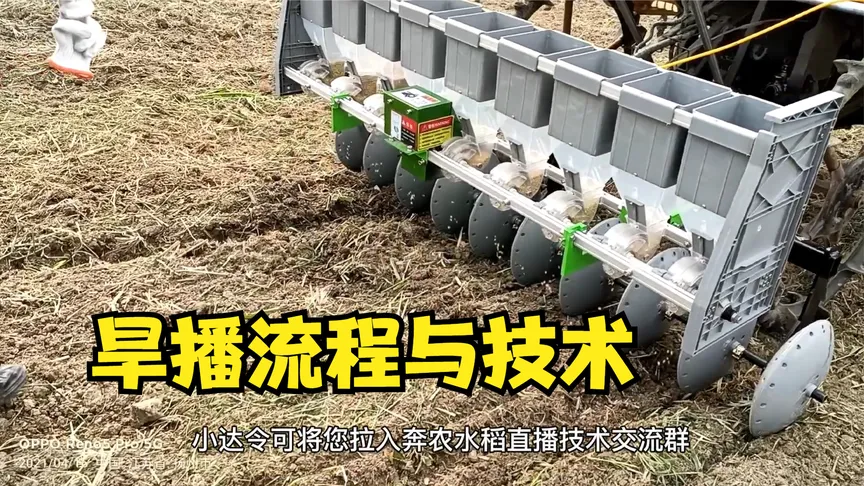 水稻旱直播种植,配套奔农水稻直播机,流程与技术要点