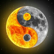 丨黄丨 