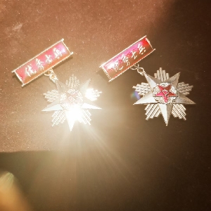 潇潇风雨亦龙吟 