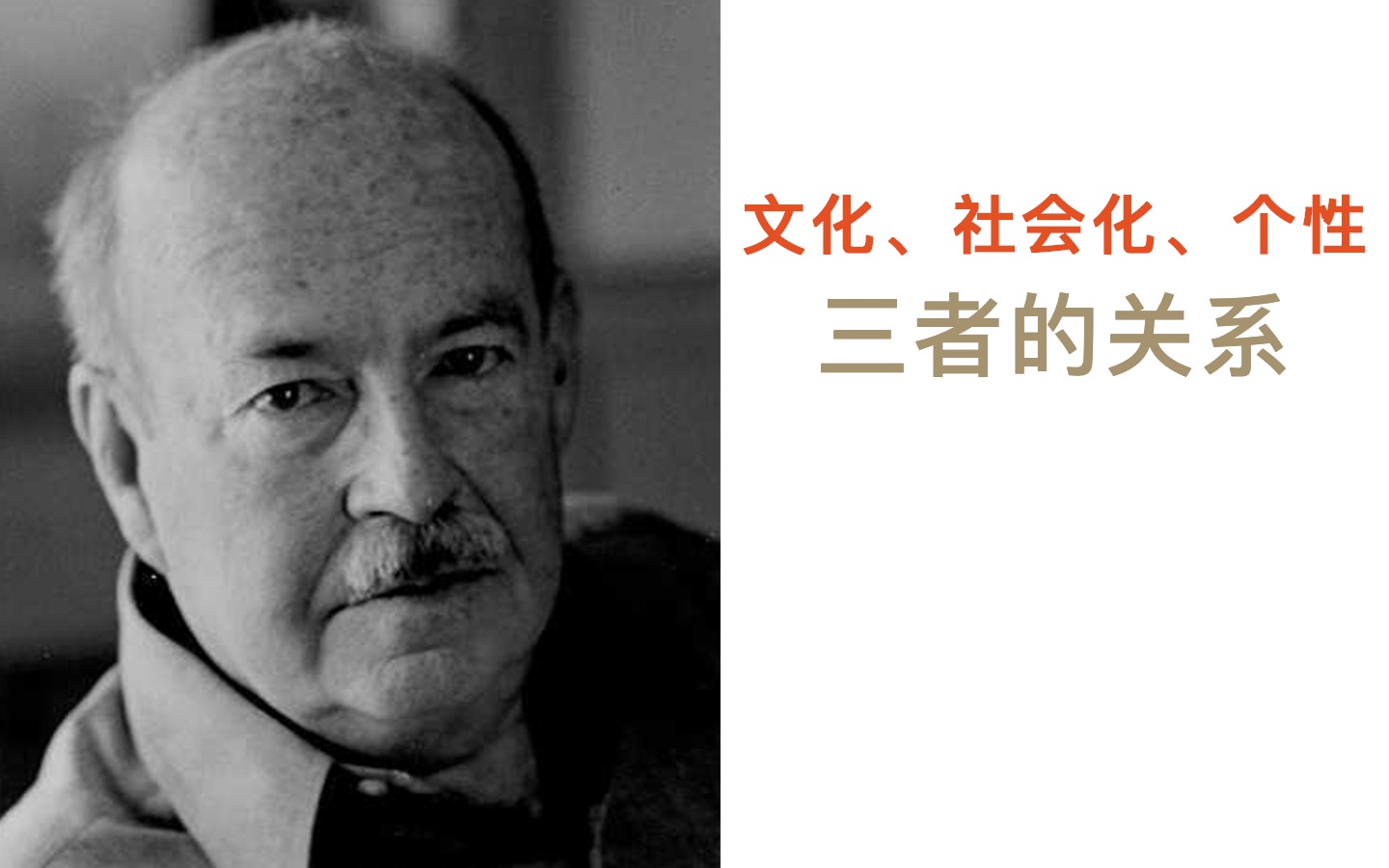 拆书·王思斌《社会学教程》:文化、社会化、个性三者的关系及什么...