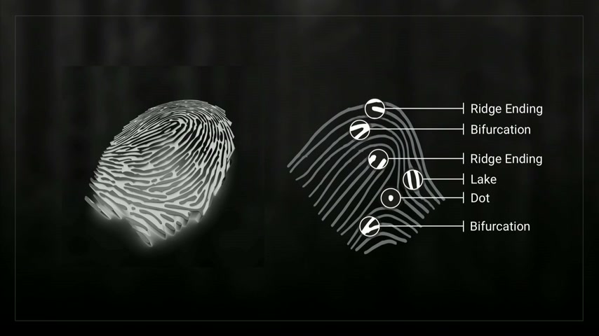 【TED】你指纹透露的信息超乎你的想象