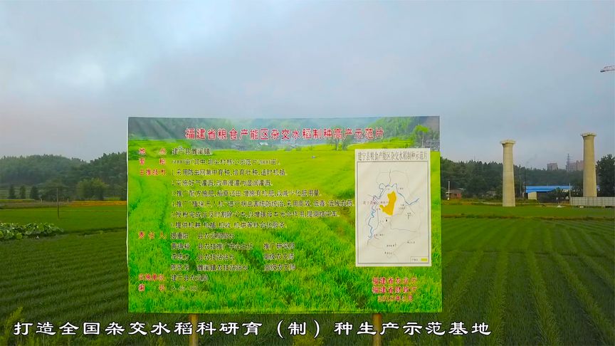 建宁县杂交水稻制种宣传片