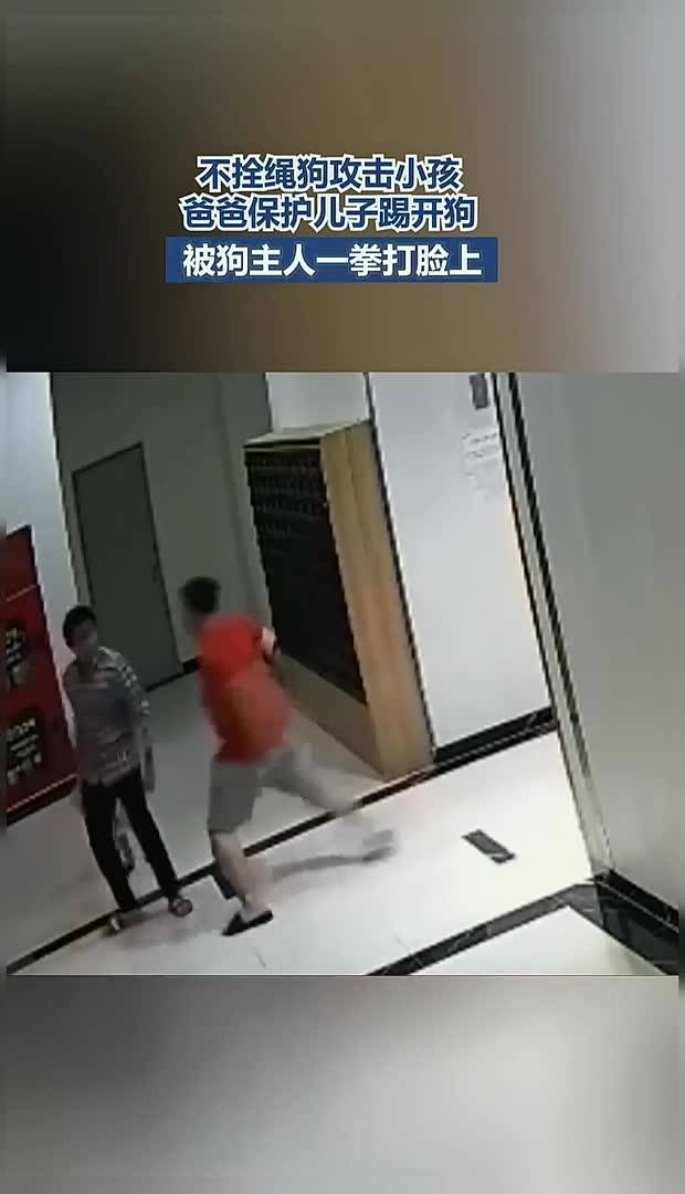狗差点咬到孩子,狗主人竟还动手还击