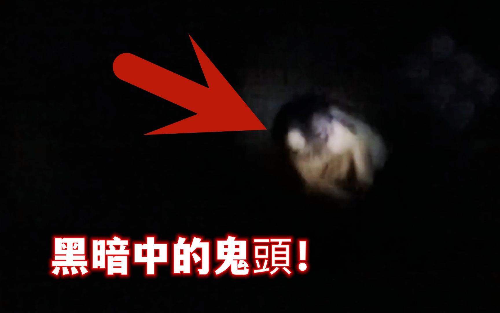 如果突然从黑暗中冒出一颗鬼头,你会害怕吗.|恐怖灵异系列