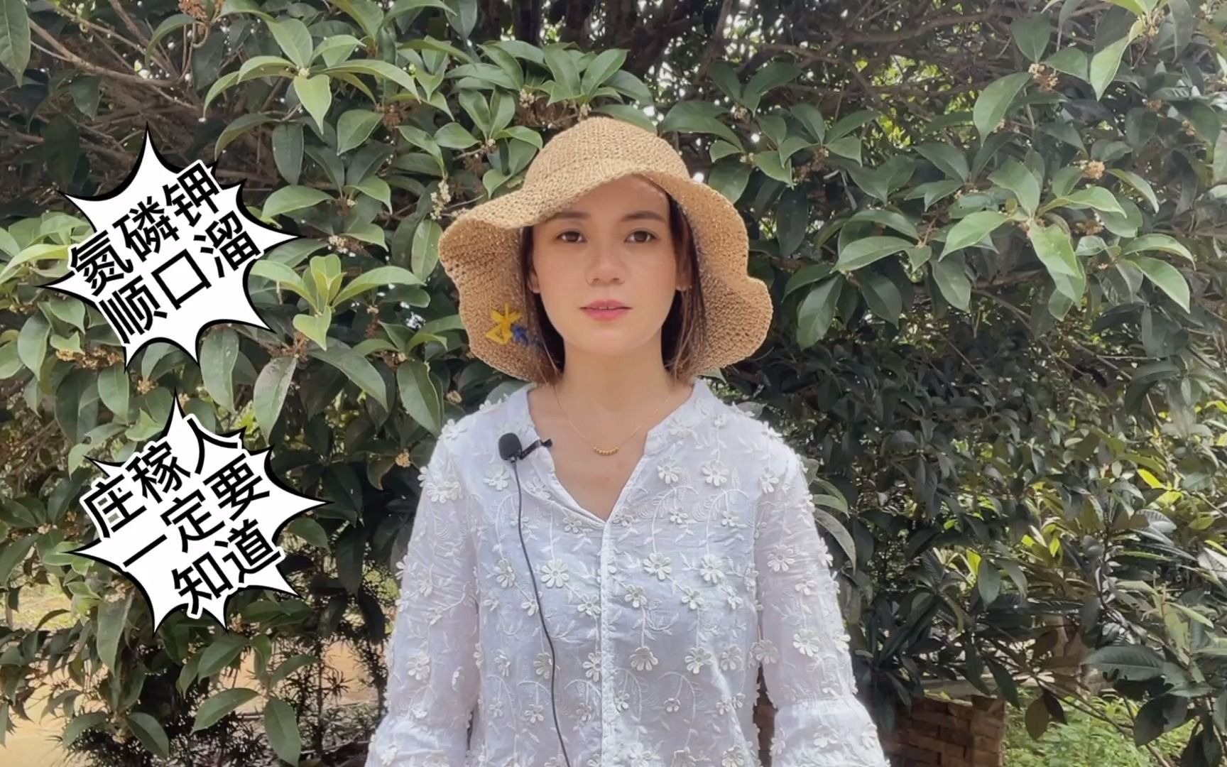 作物高产口诀,氮磷钾顺口溜