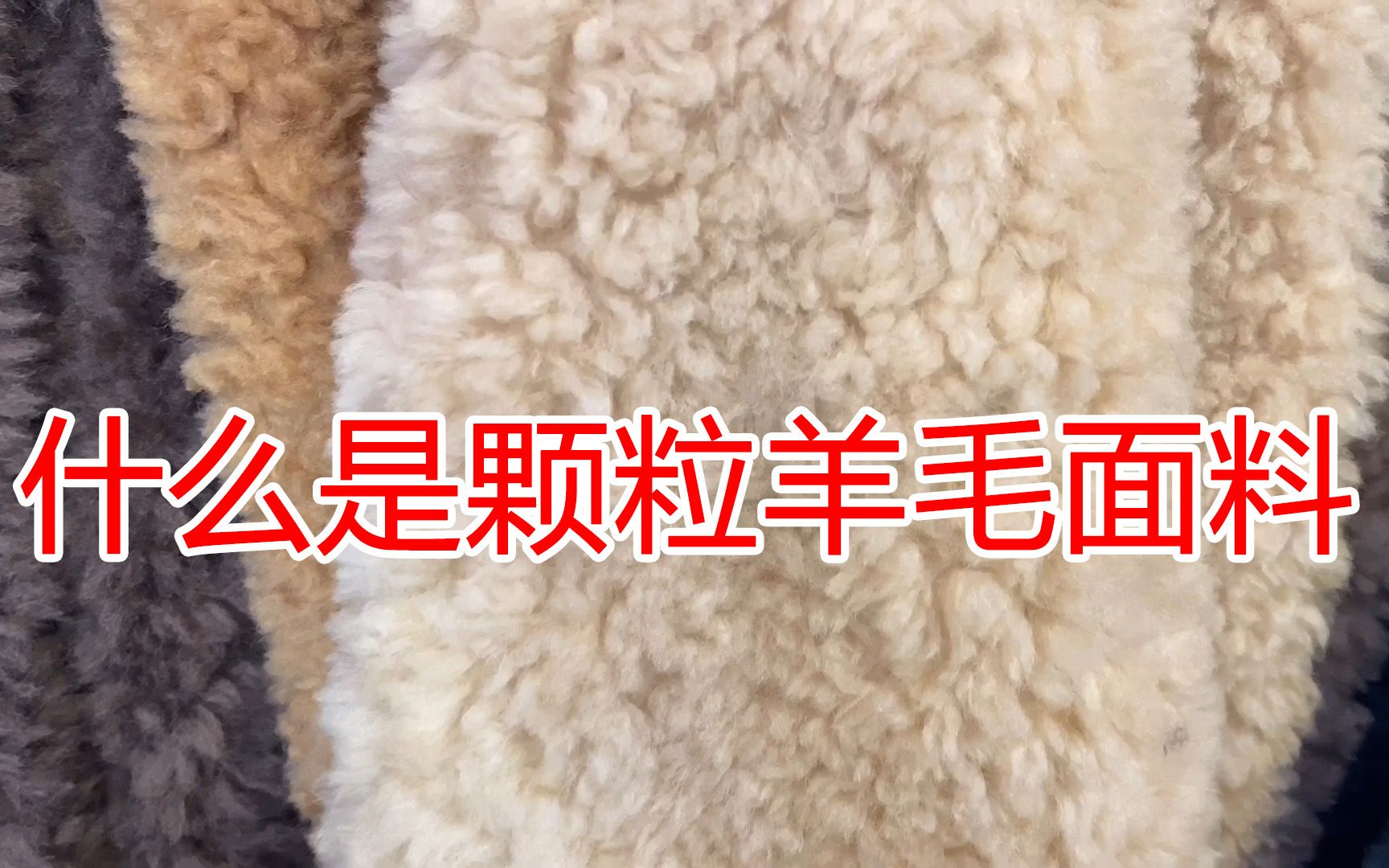 什么是颗粒羊毛面料?它与皮毛一体有什么区别?