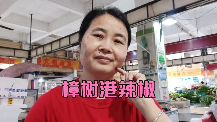 湖南的樟树港辣椒了解几分,辣椒中的爱马仕,品种不同,让我涨…