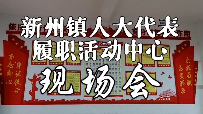 隆林各族自治县新州镇人大代表履职活动中心现场会